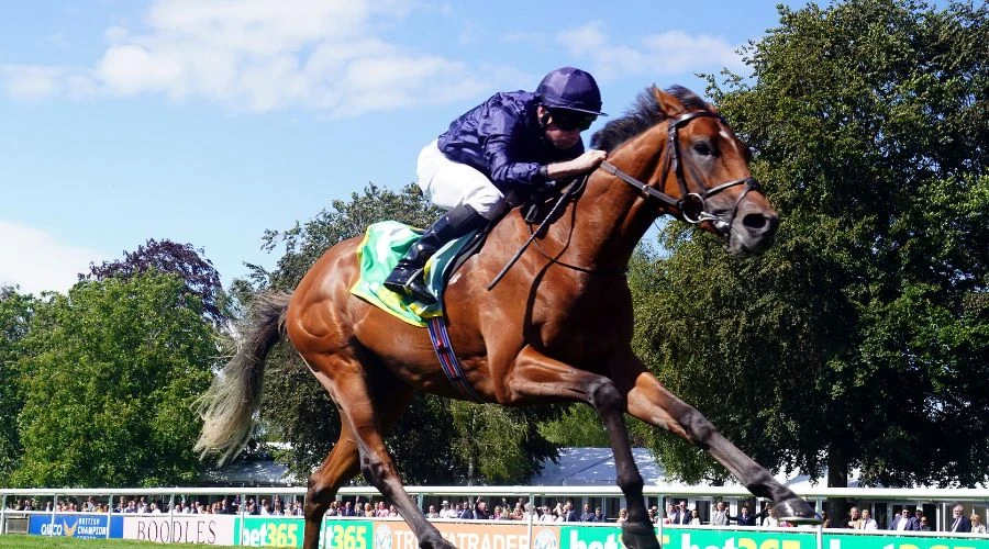 Watch Live Racing at Sandown and Wolverhampton This Saturday - ITV Racing