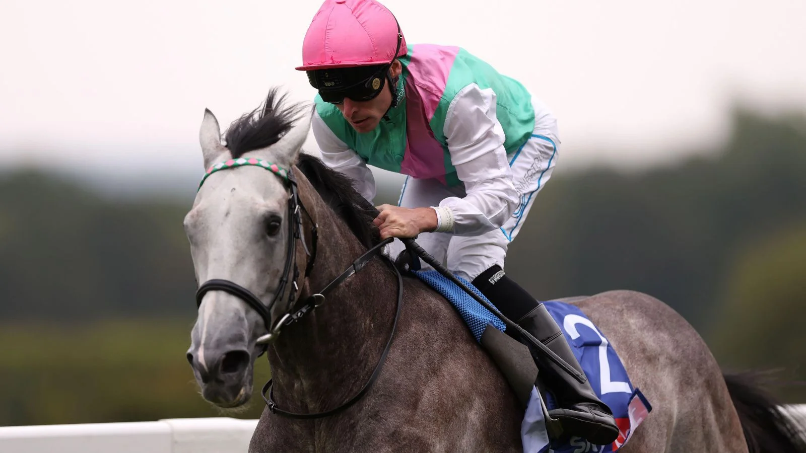 The Top Five Cheltenham Gold Cup Renewals - ITV Racing