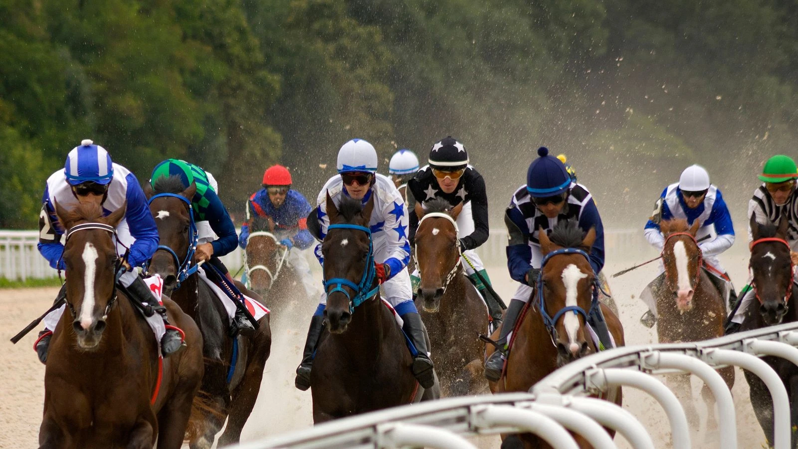 The Top Five Cheltenham Gold Cup Renewals - ITV Racing